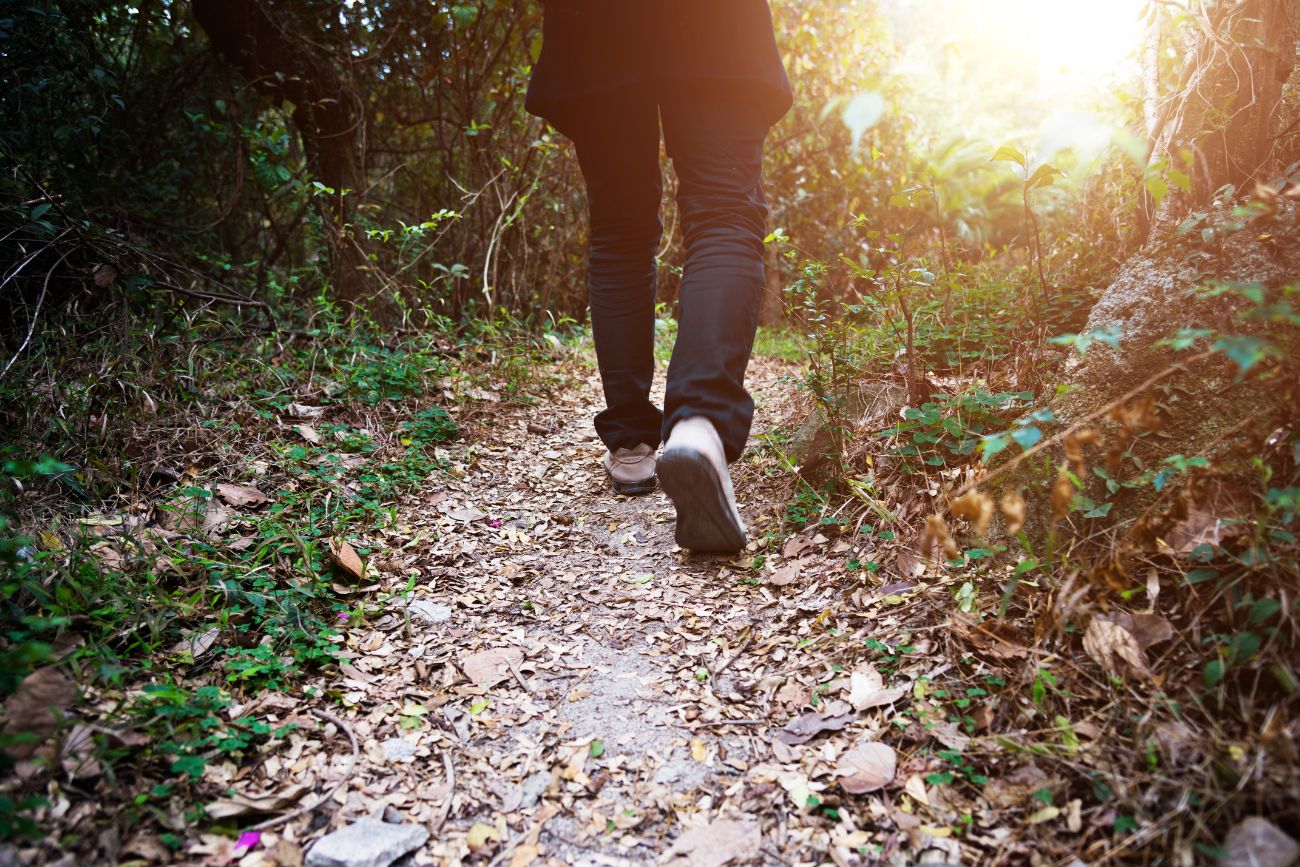 Drept de servitute : Servitute de trecere și vedere